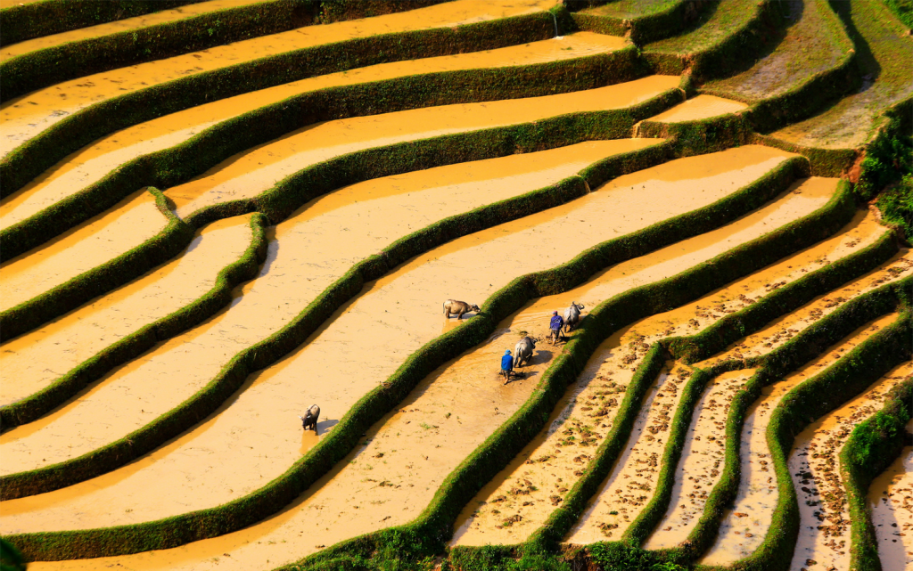 Tu Le Travel Guide: Uncover the Best Kept Secrets of Vietnam